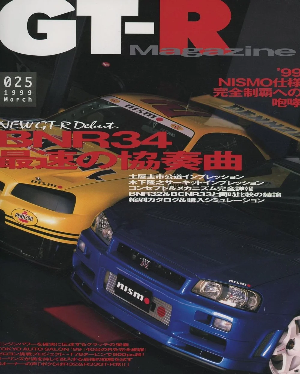 Nissan Skyline R34 GT-R: “The Return of Godzilla” — sabukaru
