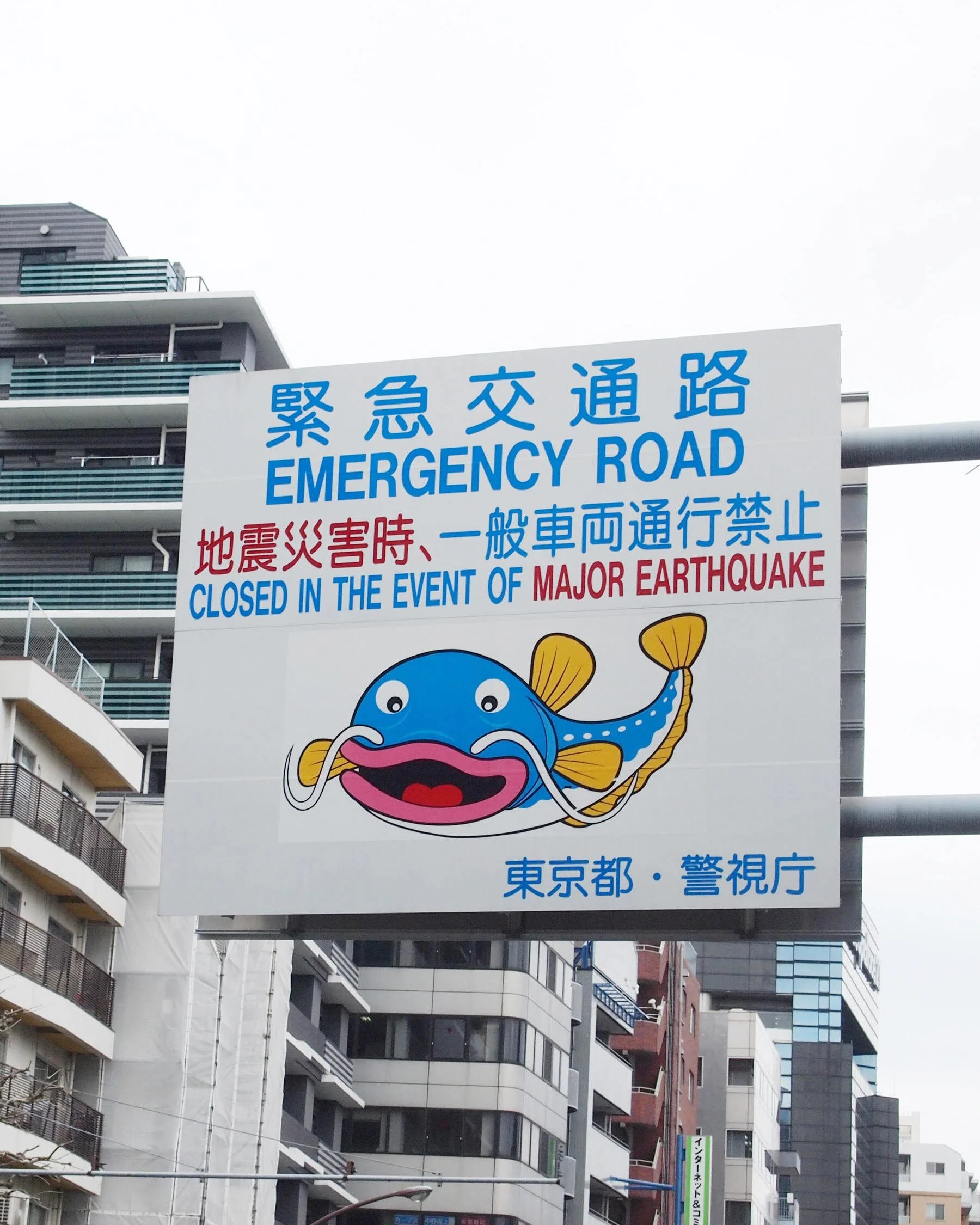 NAMAZU - THE ANCIENT HISTORY BEHIND THE EARTHQUAKE CAUSING CATFISH ...