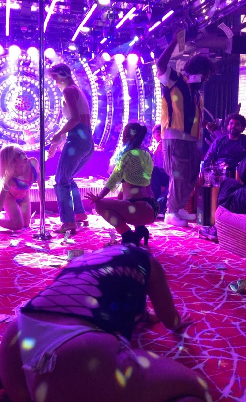 The Legacy of Kaito Yamamoto and Son of The Cheese — sabukaru