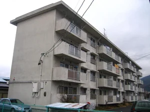 JAPAN’S CONCRETE HOUSING: THE HISTORY OF DANCHI — sabukaru