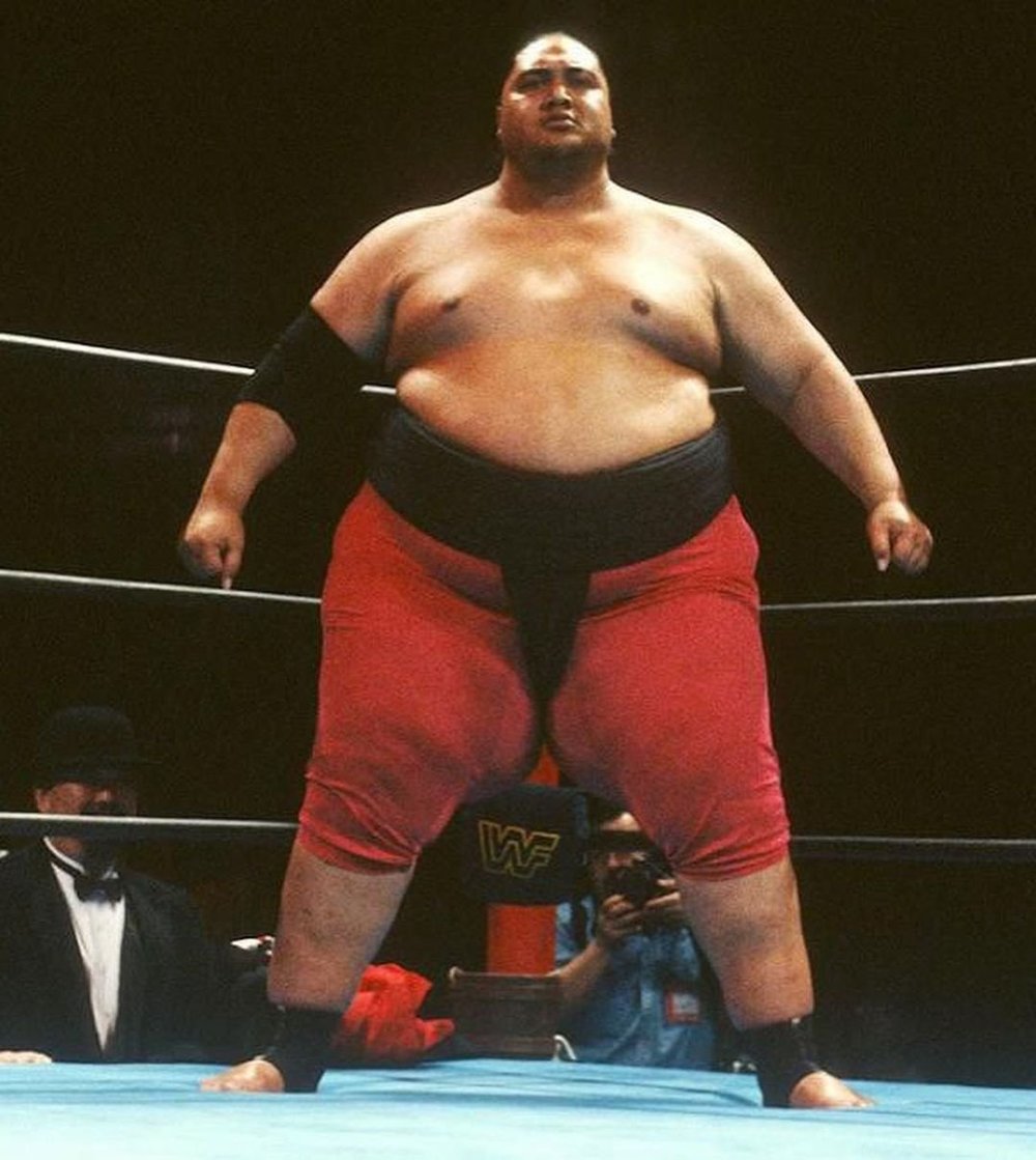 Big In Japan - Wrestling Events at Tokyo Dome In The Early '90s — sabukaru