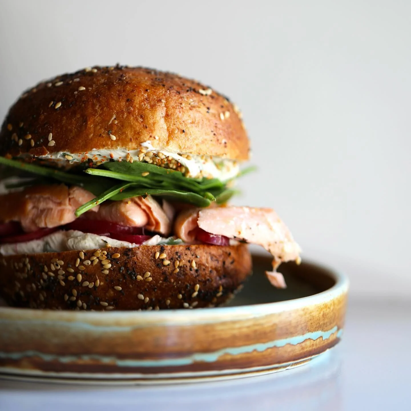 Little Donkey - A global tapas restaurant in Cambridge, MA