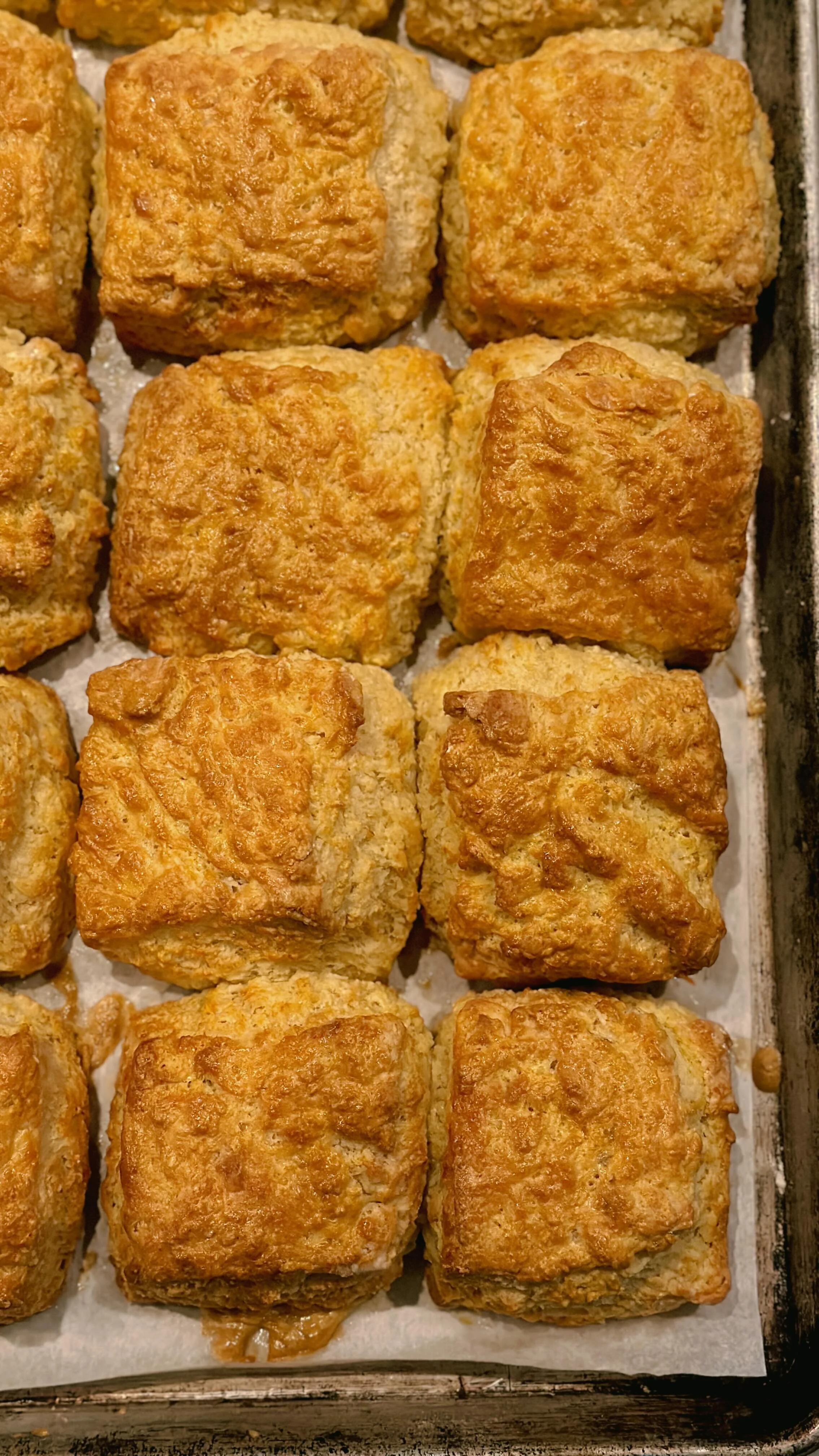 Little Donkey - A global tapas restaurant in Cambridge, MA