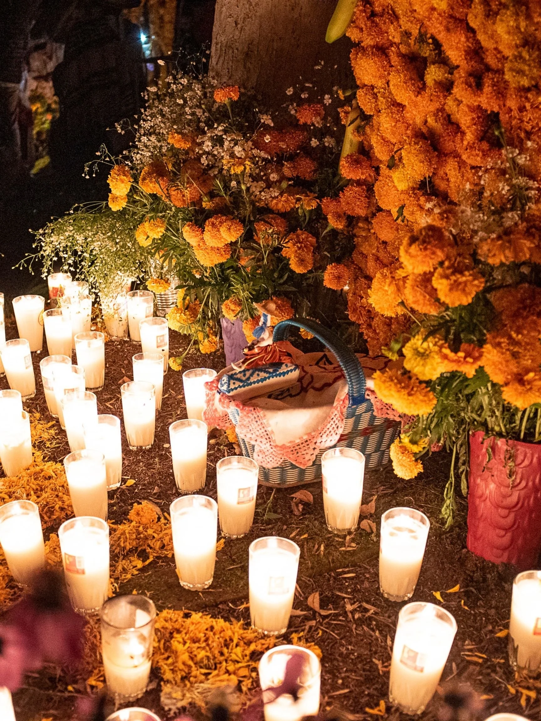 The Green Maya Project