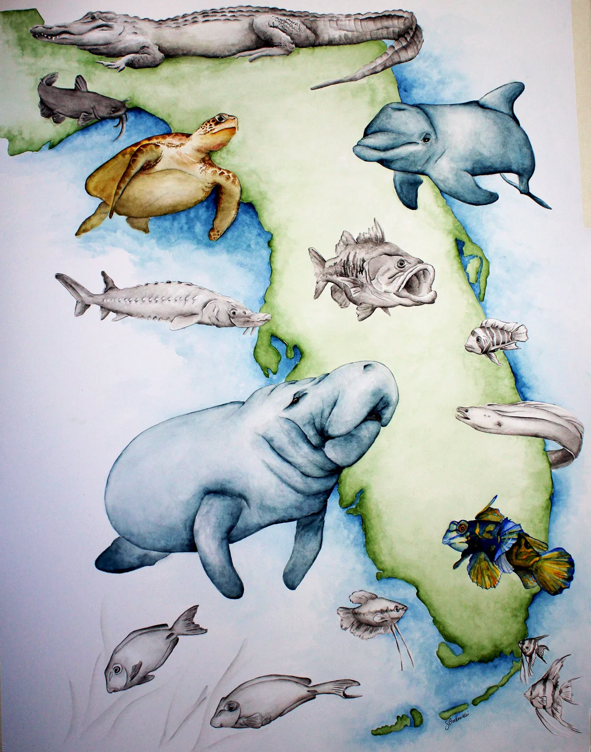 Artwork — Jennifer Kay, Artist