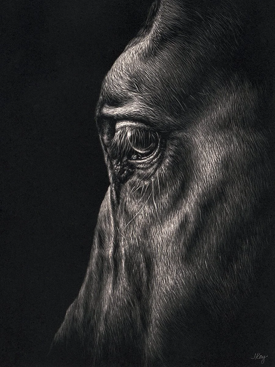 Jennifer Kay, Artist