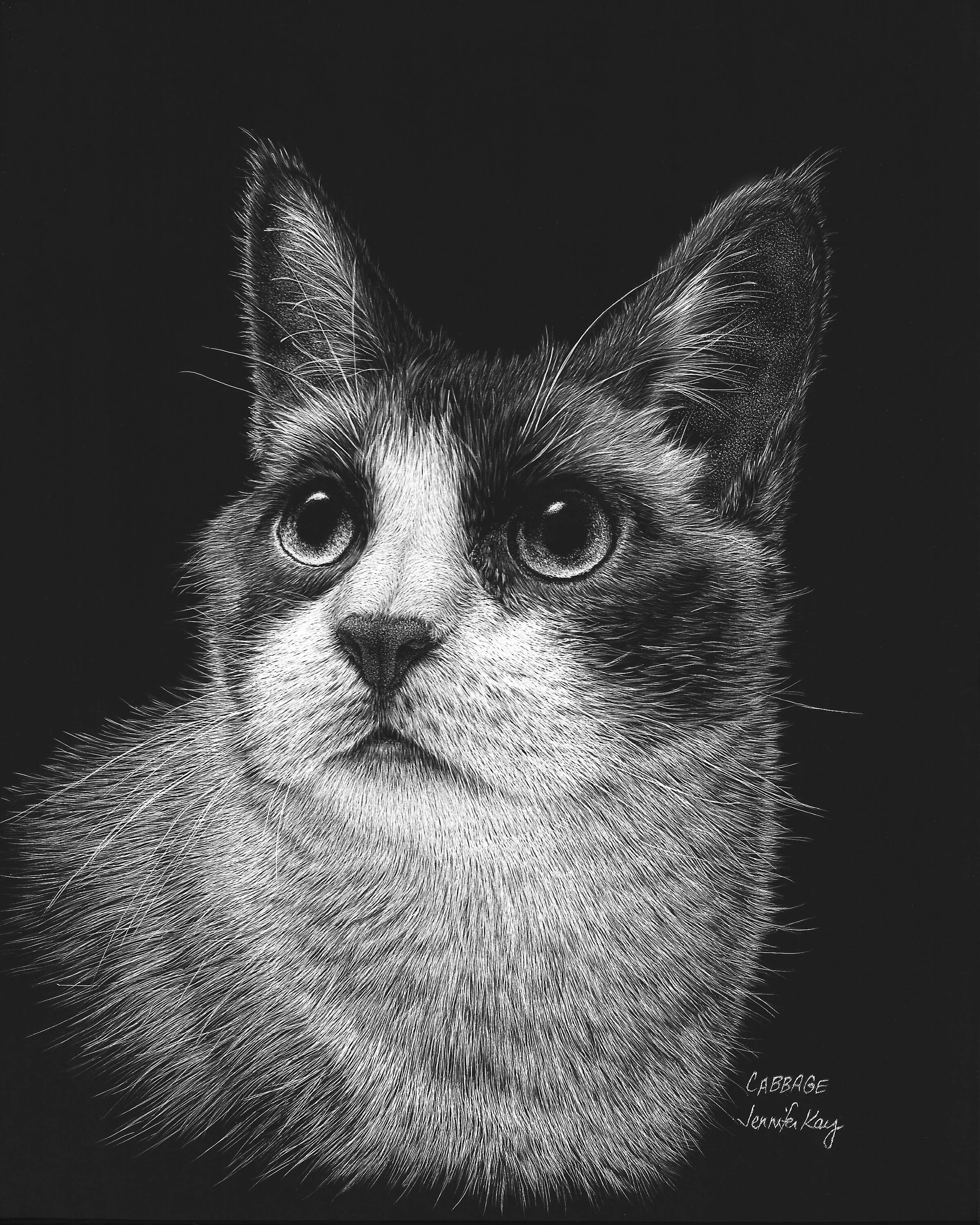 Jennifer Kay, Artist