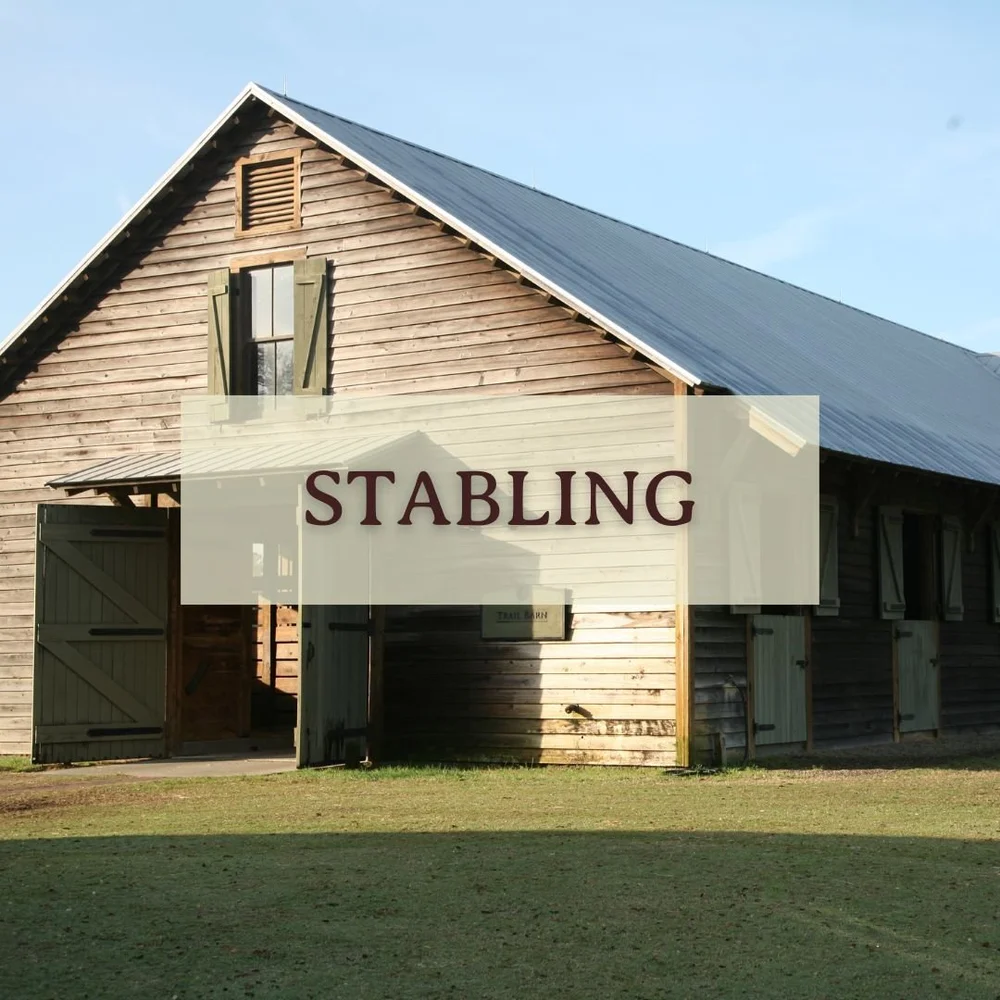 Hunt Series — The Stables at Frederica