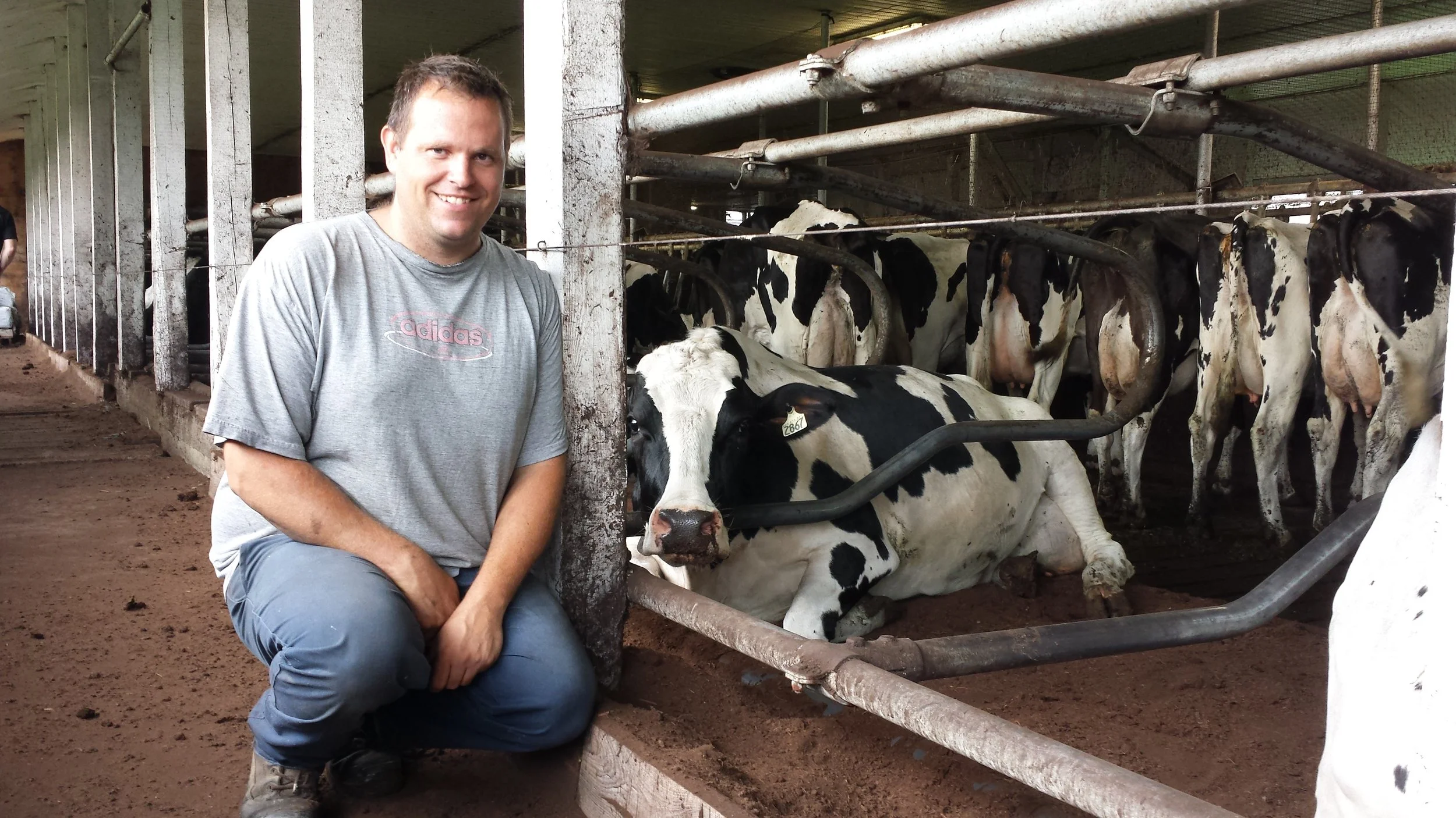 Photos & Videos of dairy cow bedding — DCC Waterbeds