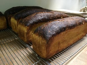 Bread — Red Bird Bakery