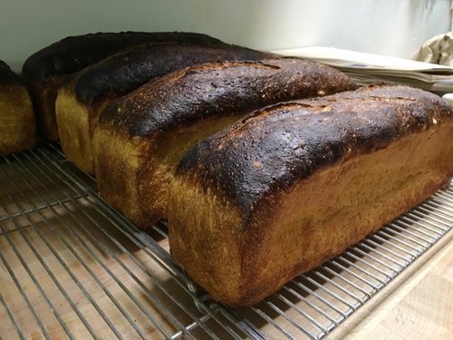 Bread — Red Bird Bakery