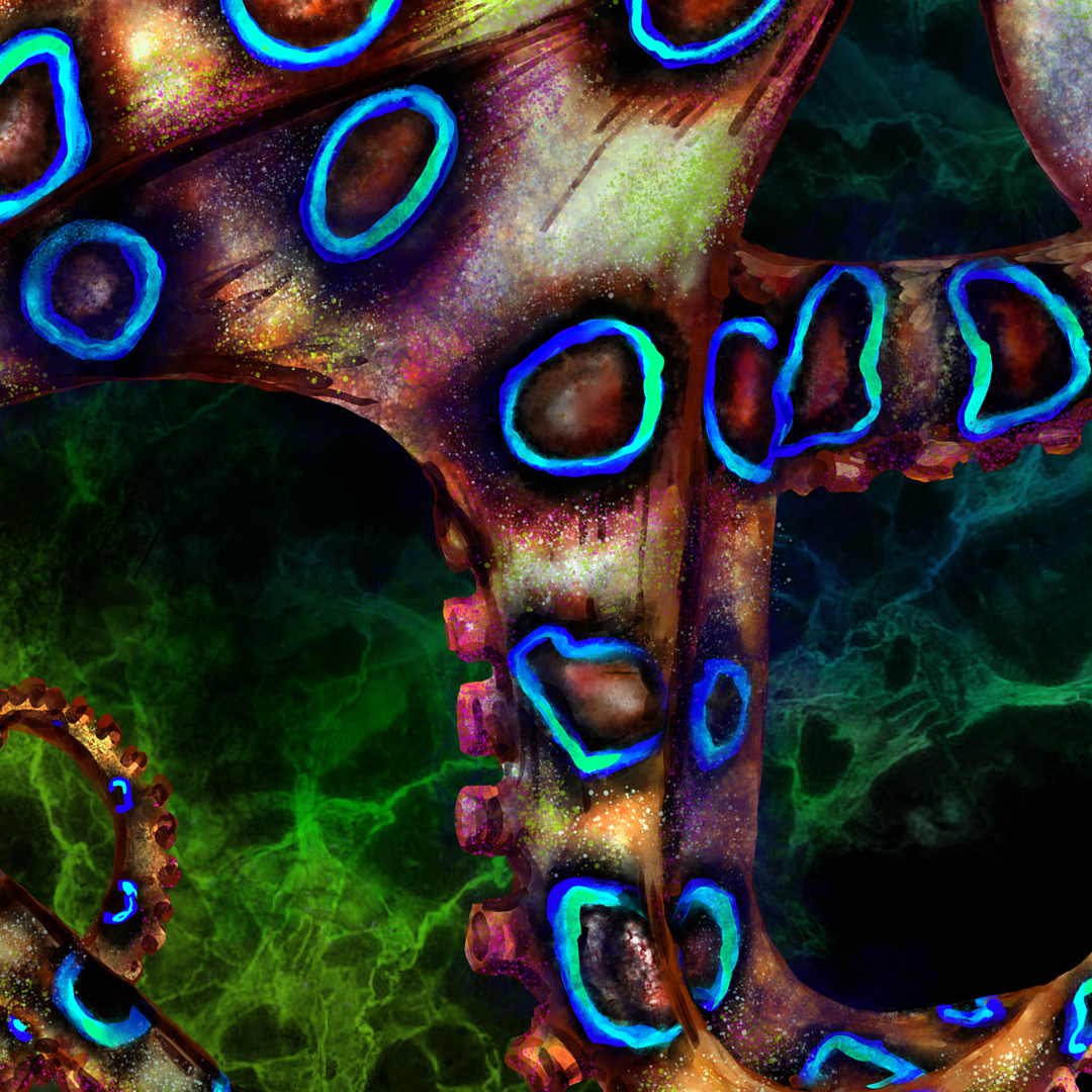 Blue Ringed Octopus Drawing