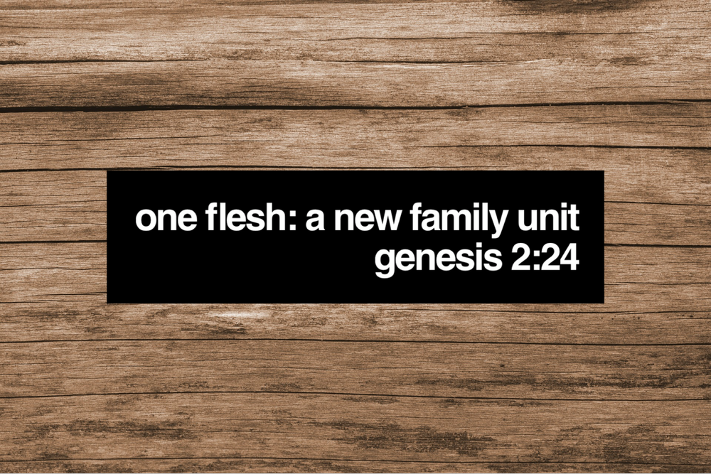One Flesh: A New Family Unit — Redeemer Bible Church