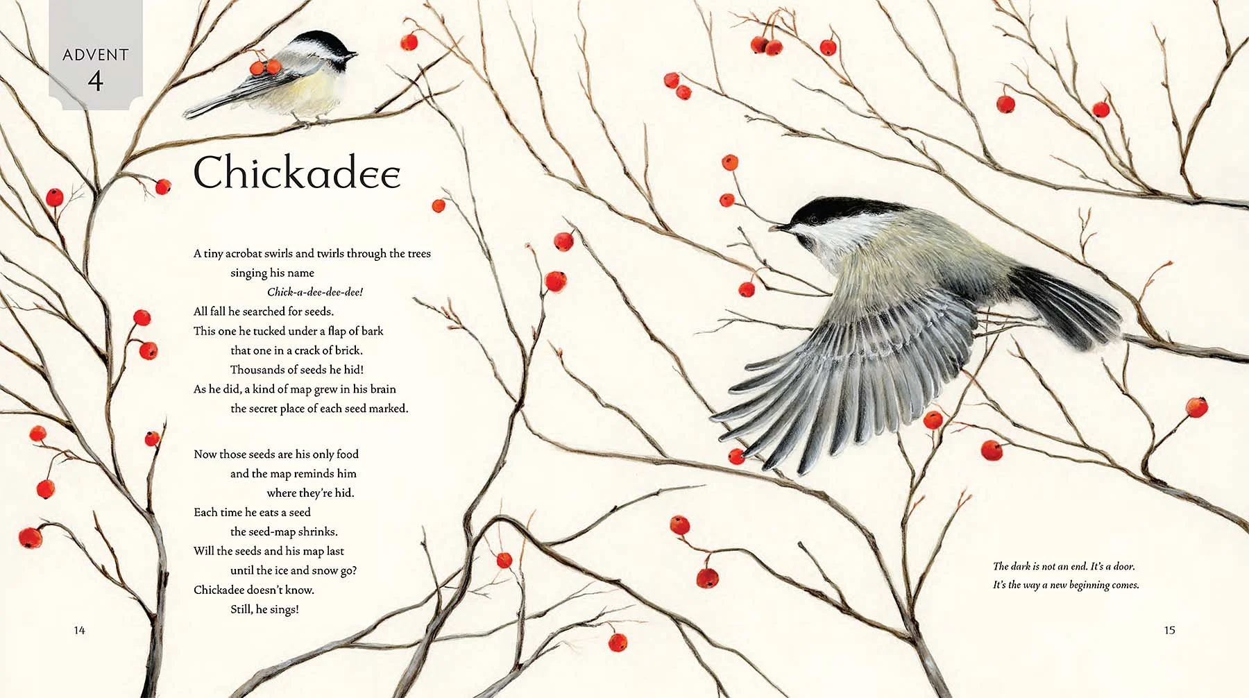 All Creation Waits Children’s Edition — Gayle Boss