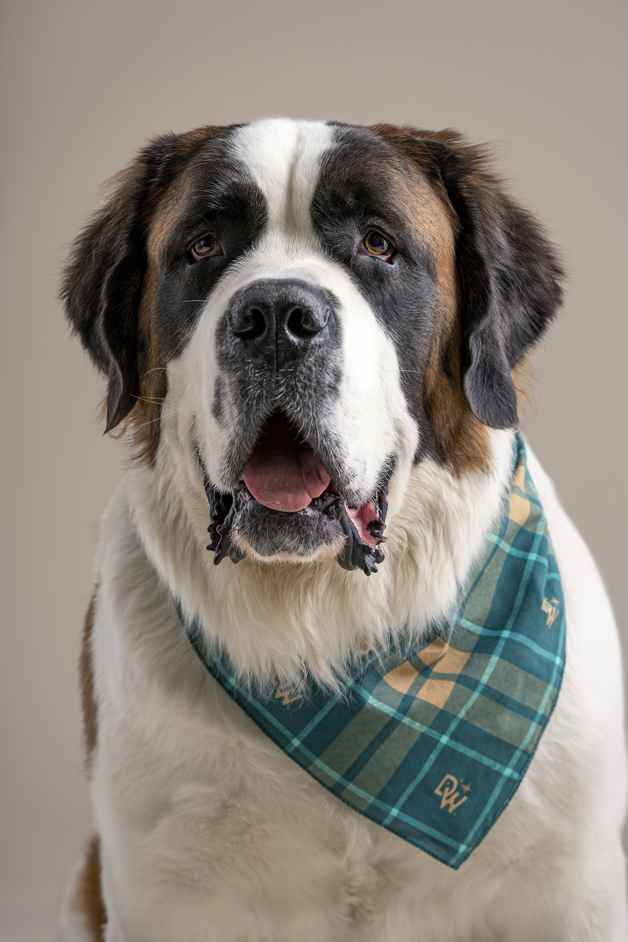 Chicago Portrait Photographer — flynnworks