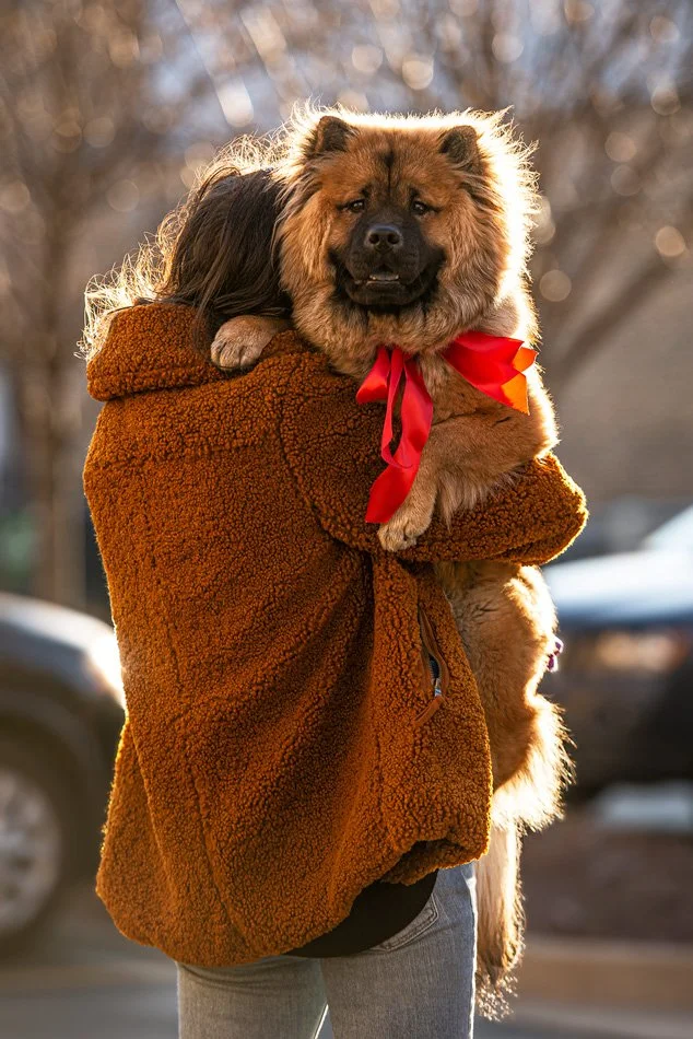 Chicago Portrait Photographer — flynnworks