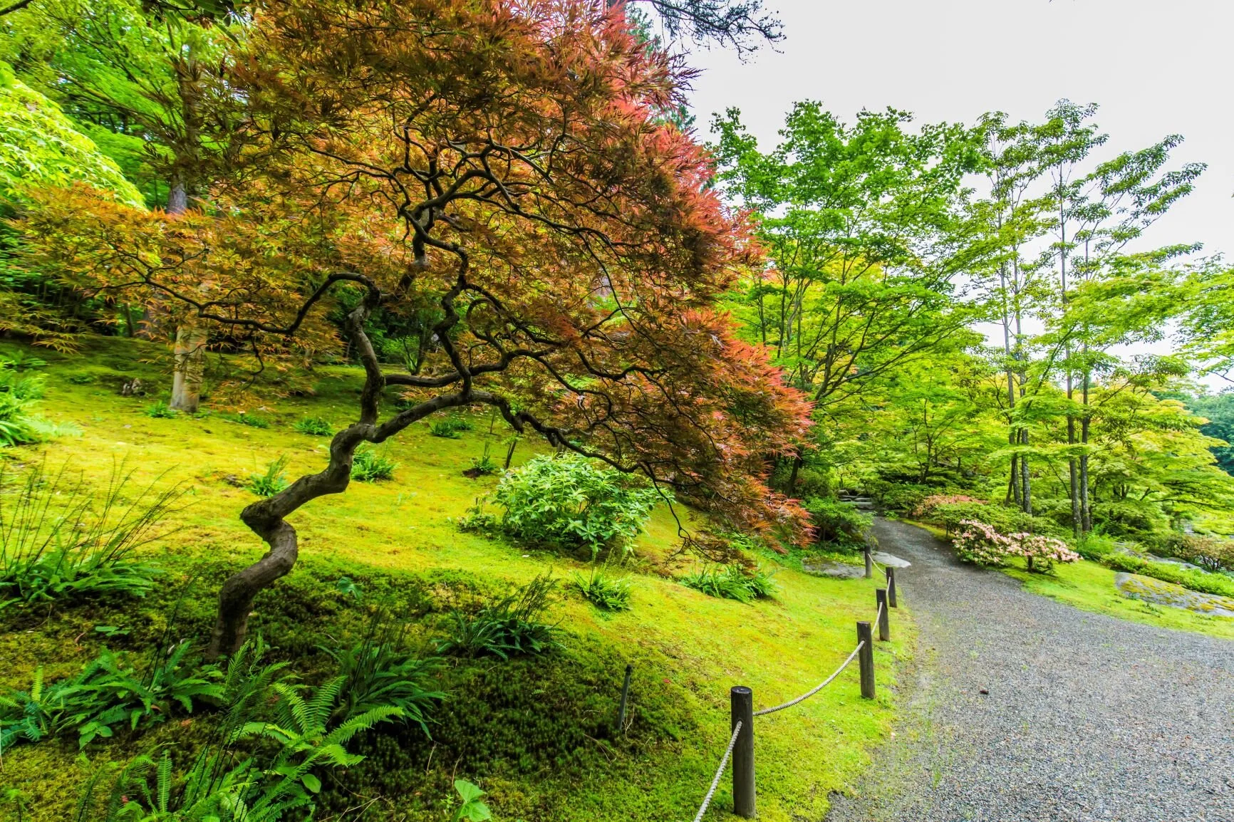 Seattle Japanese Garden