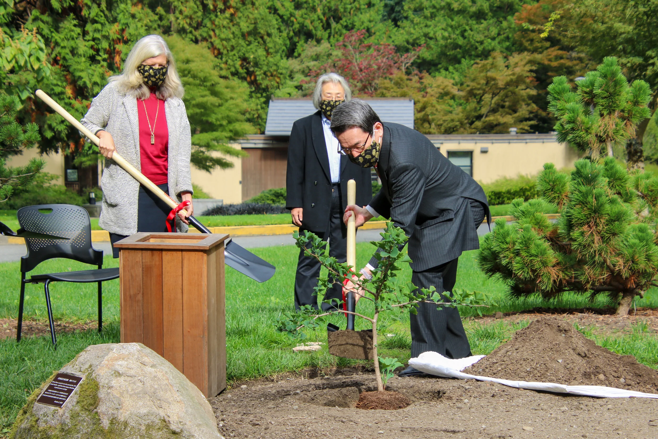Planting a Hiroshima peace tree — Seattle Japanese Garden