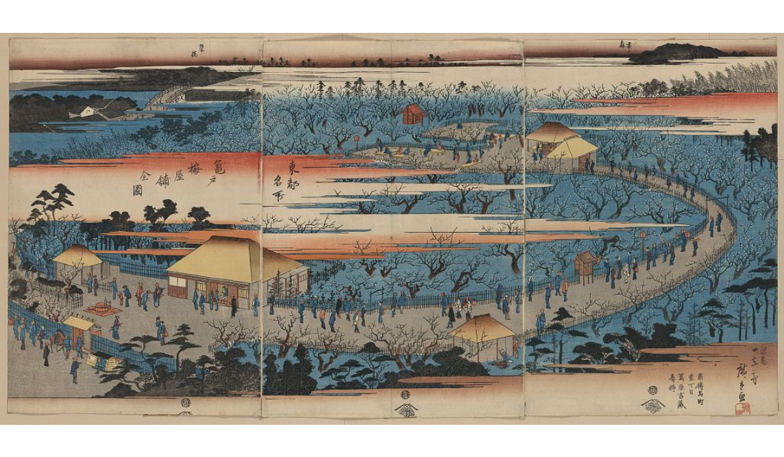 In Winter, ‘Kobai’ Flowering Plum Opens its Fragrant, Deep Pink Flowers ...