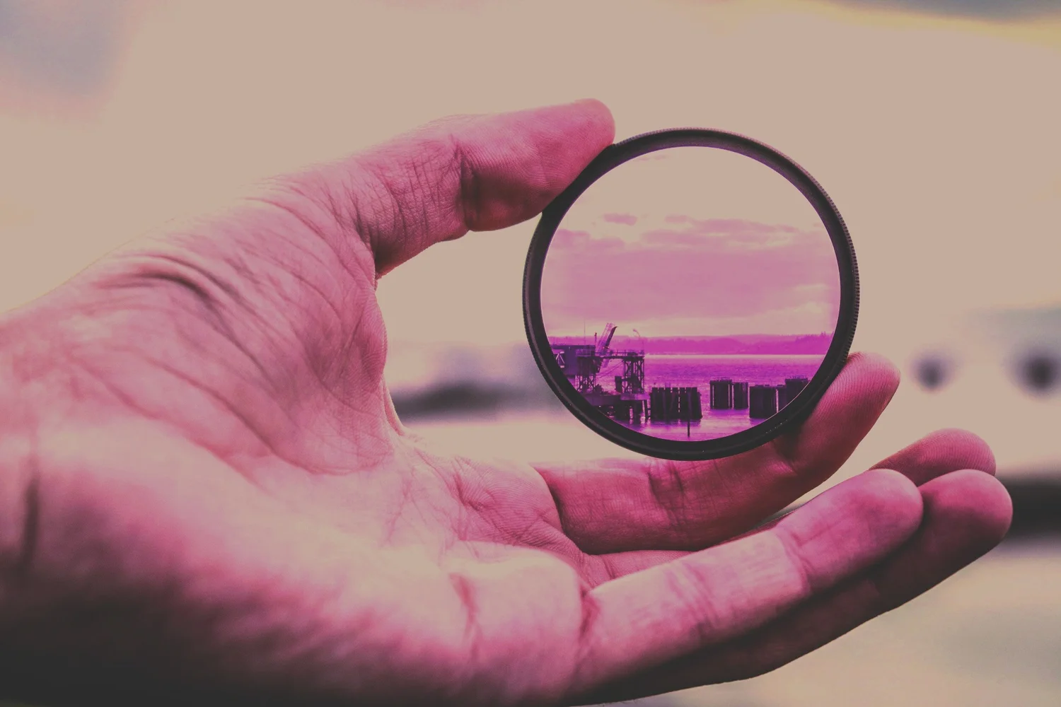 Home — Lindsay Angelo