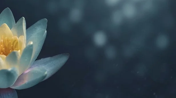 Purpose Guides Institute | Discover Your Purpose | Become a Purpose Guide™