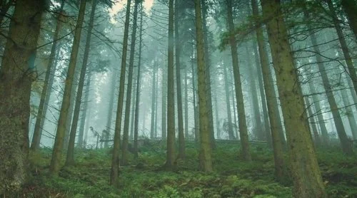 Purpose Guides Institute | Discover Your Purpose | Become a Purpose Guide™