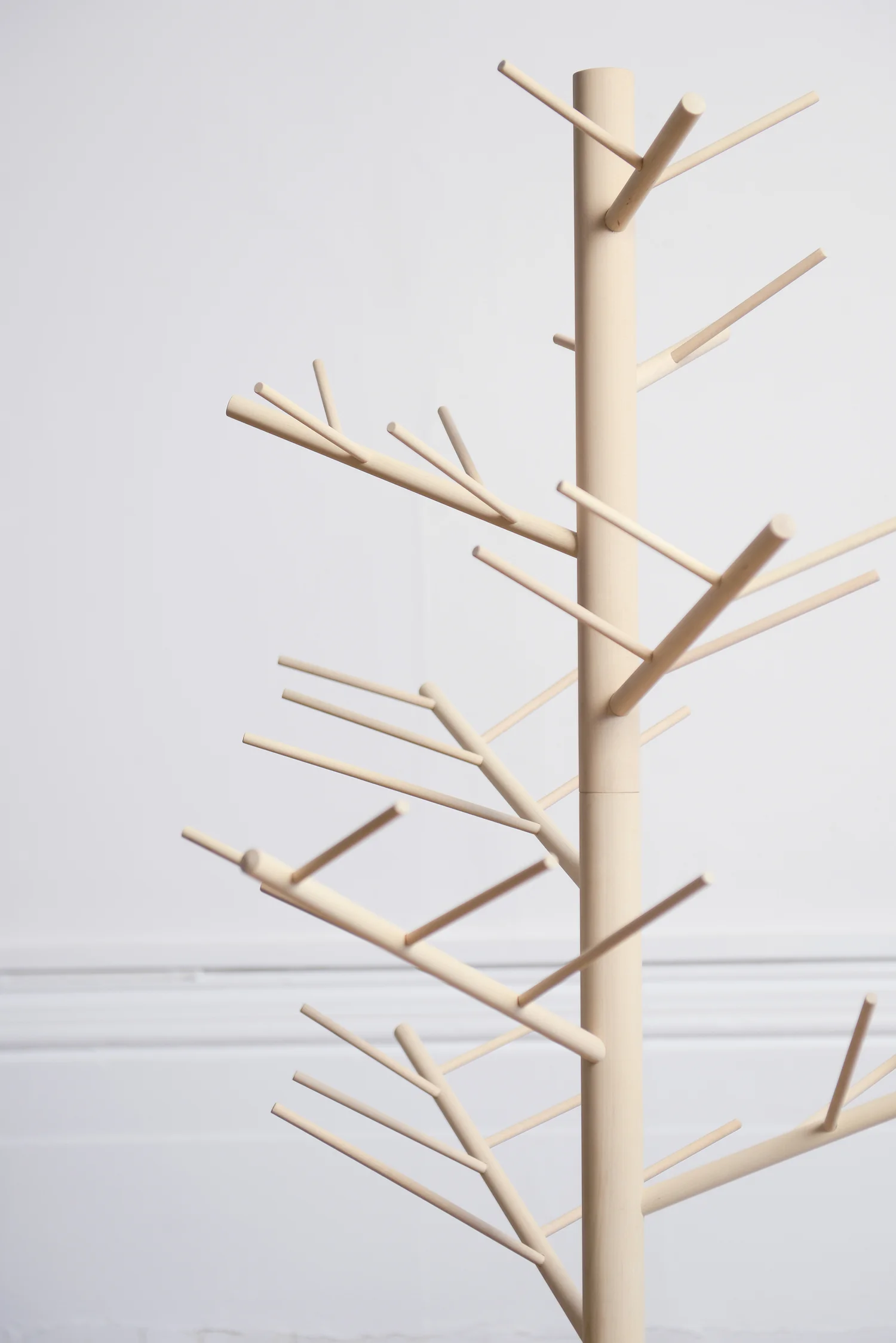 Branch — Demelza Hill