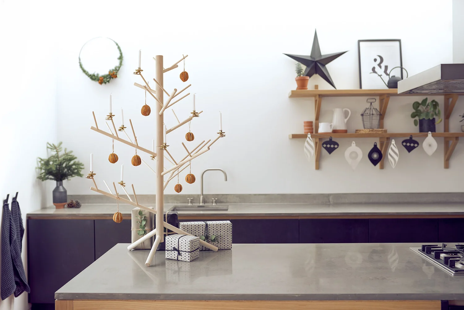 Branch — Demelza Hill