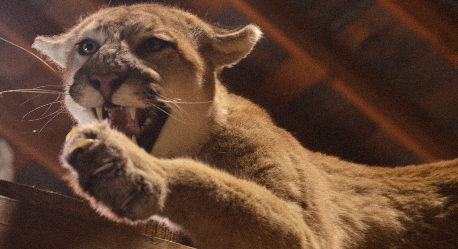 The Fort Museum, Frontier Village and Frontier Opera House