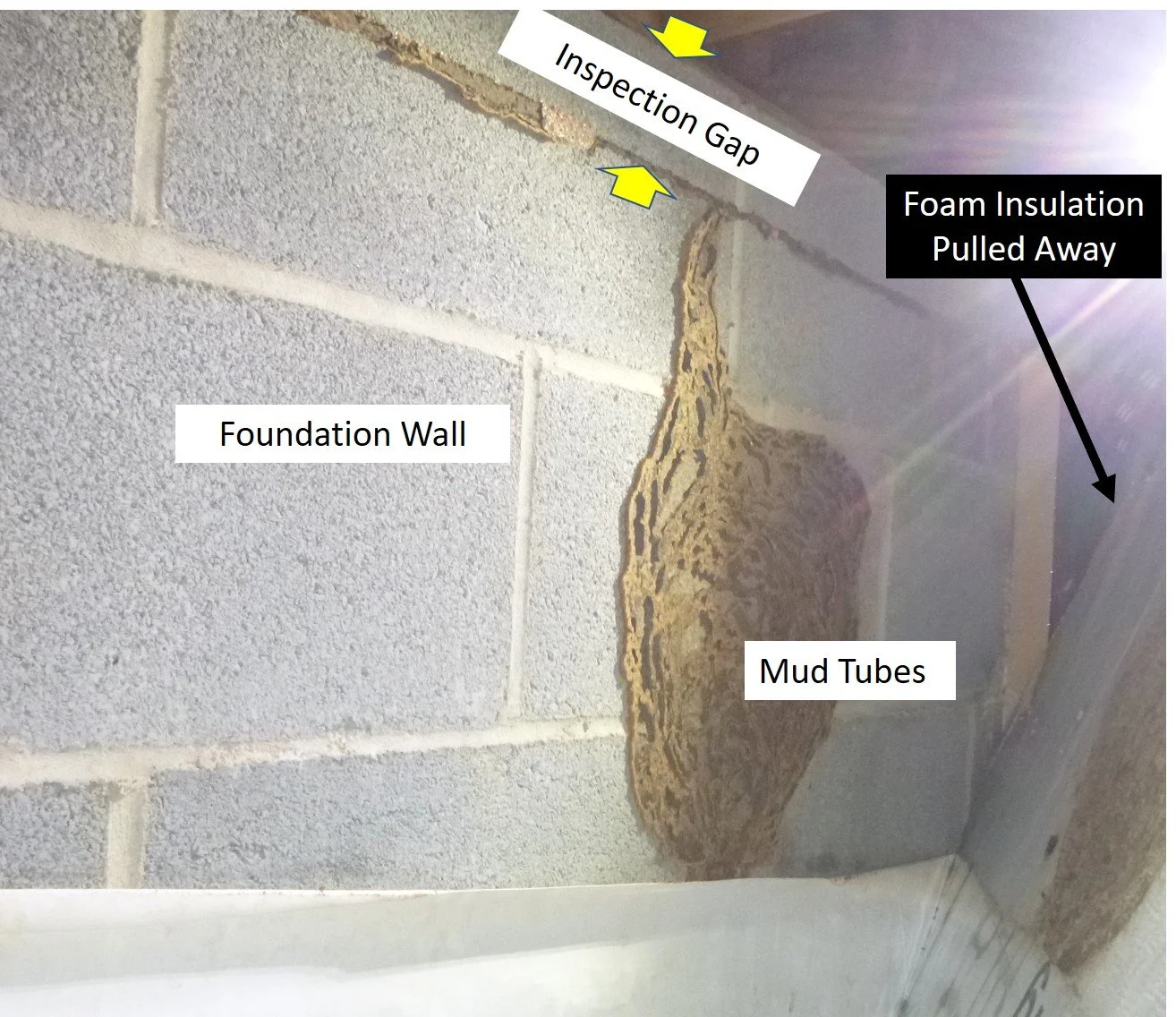 Termite Infestation in an Encapsulated or Sealed Crawlspace