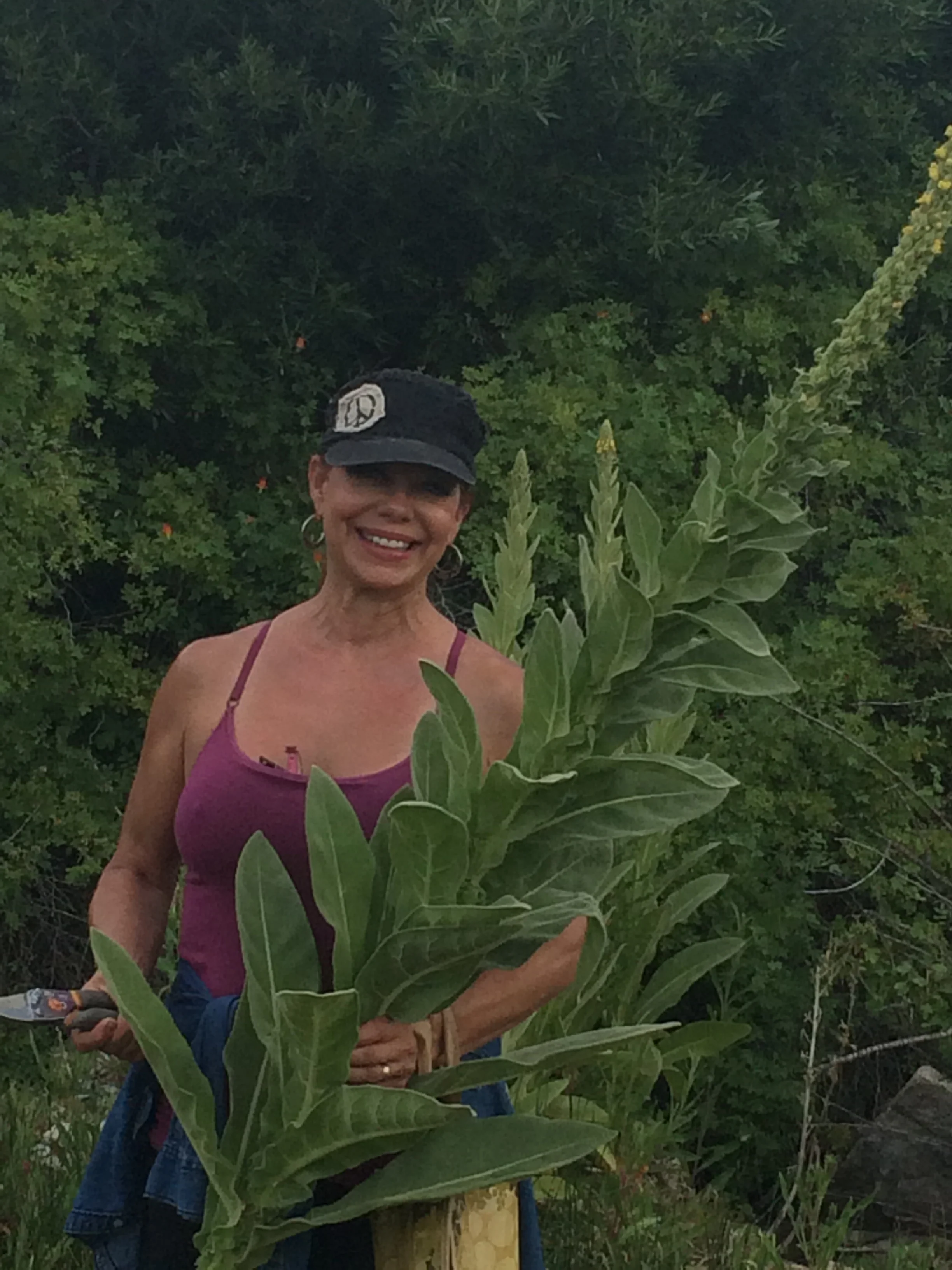 Seven Home Remedies for Getting Rid of Congestion FAST! (Natural, Easy ...