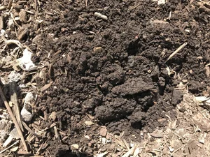How to Amend the MOST HORRIBLE Soil in the World! (5 Tips to Help You ...