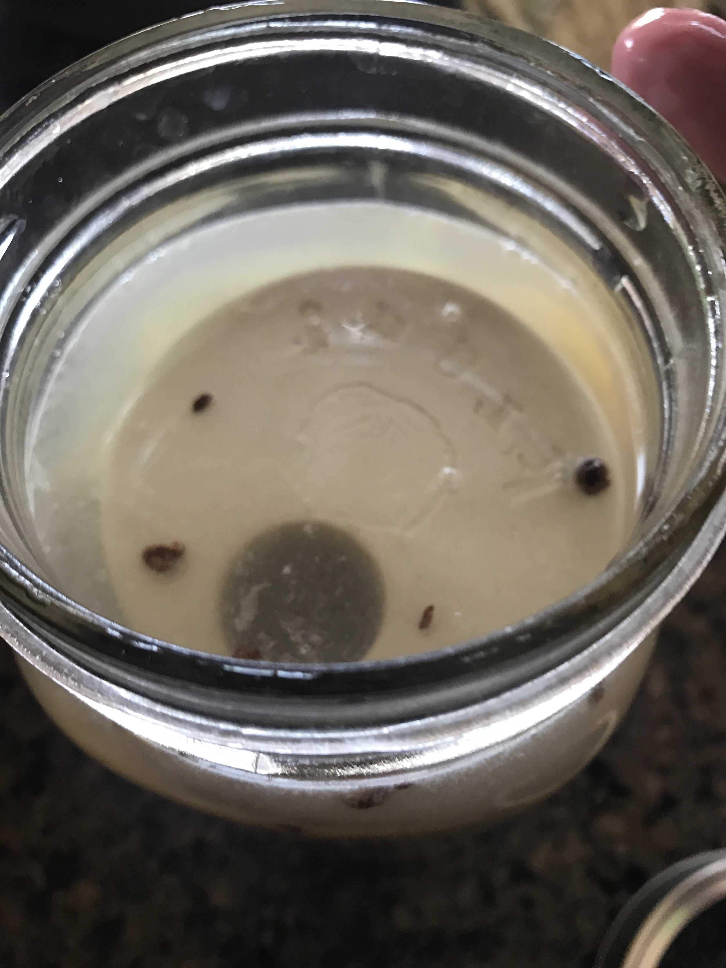 How to Ferment Lemons in 9 Easy Steps and Two Recipes — All Posts ...