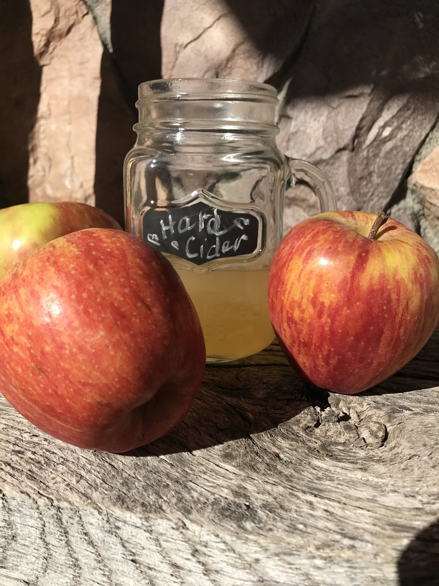 Make Your Own "Easy" Hard Cider! — All Posts Healing Harvest Homestead