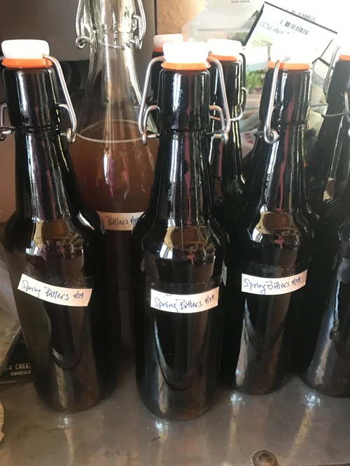 How to Make Herbal Beer: A Spring Bitters Tonic Ale Recipe--Well ...