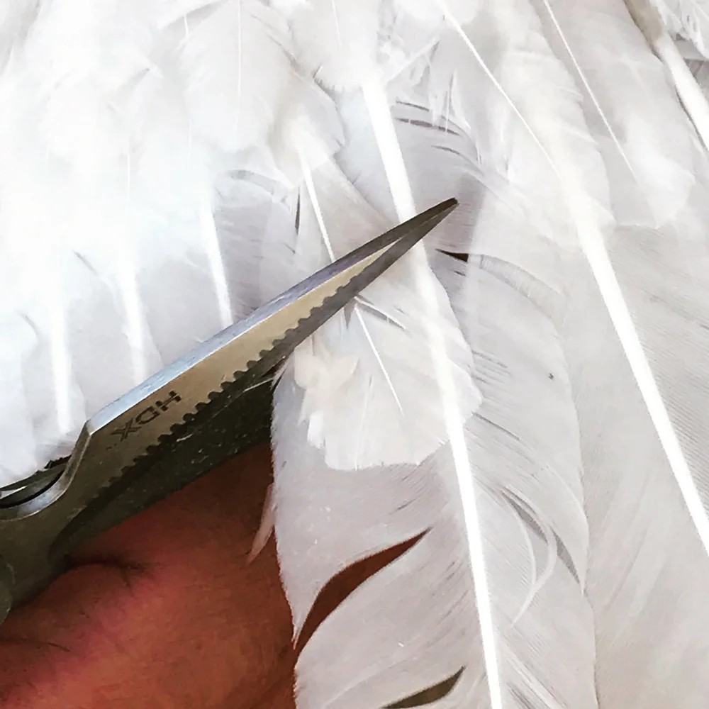 How to Clip a Turkey's Feathers...and What to Do if You Mess Up — All ...