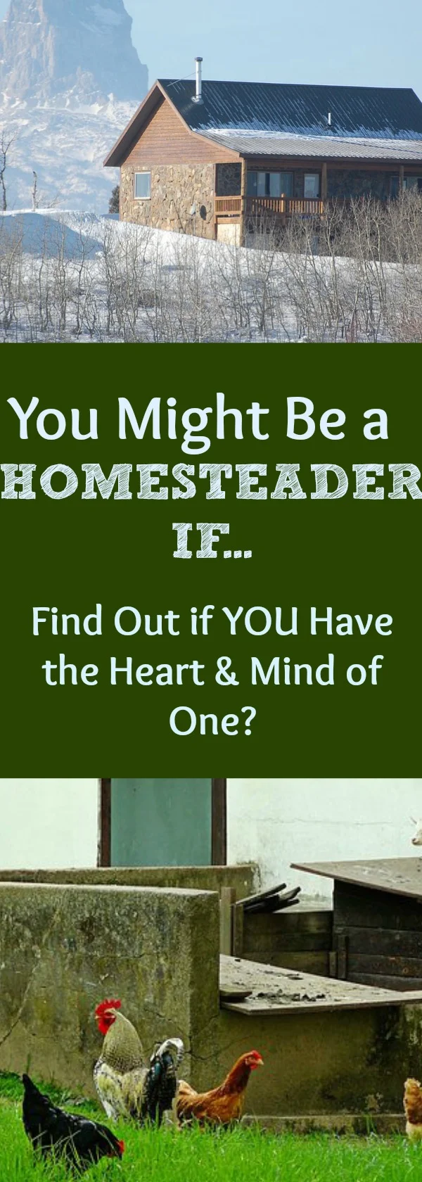You Might Be a Homesteader IF.... Here's How to Find Out if You Have ...