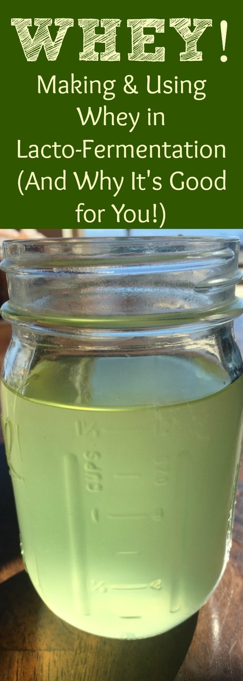 How to Make Nutritious Whey for a Starter for Lacto-Fermentation and ...