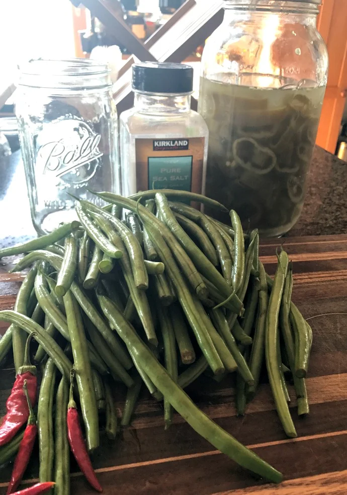 How to Make Lacto-Fermented Dilly Green Bean Pickles — All Posts ...