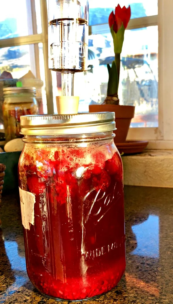 How to Make a Delicious, Easy Fermented Berry Soda — All Posts Healing ...