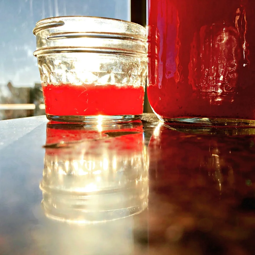 How to Make a Delicious, Easy Fermented Berry Soda — All Posts Healing ...