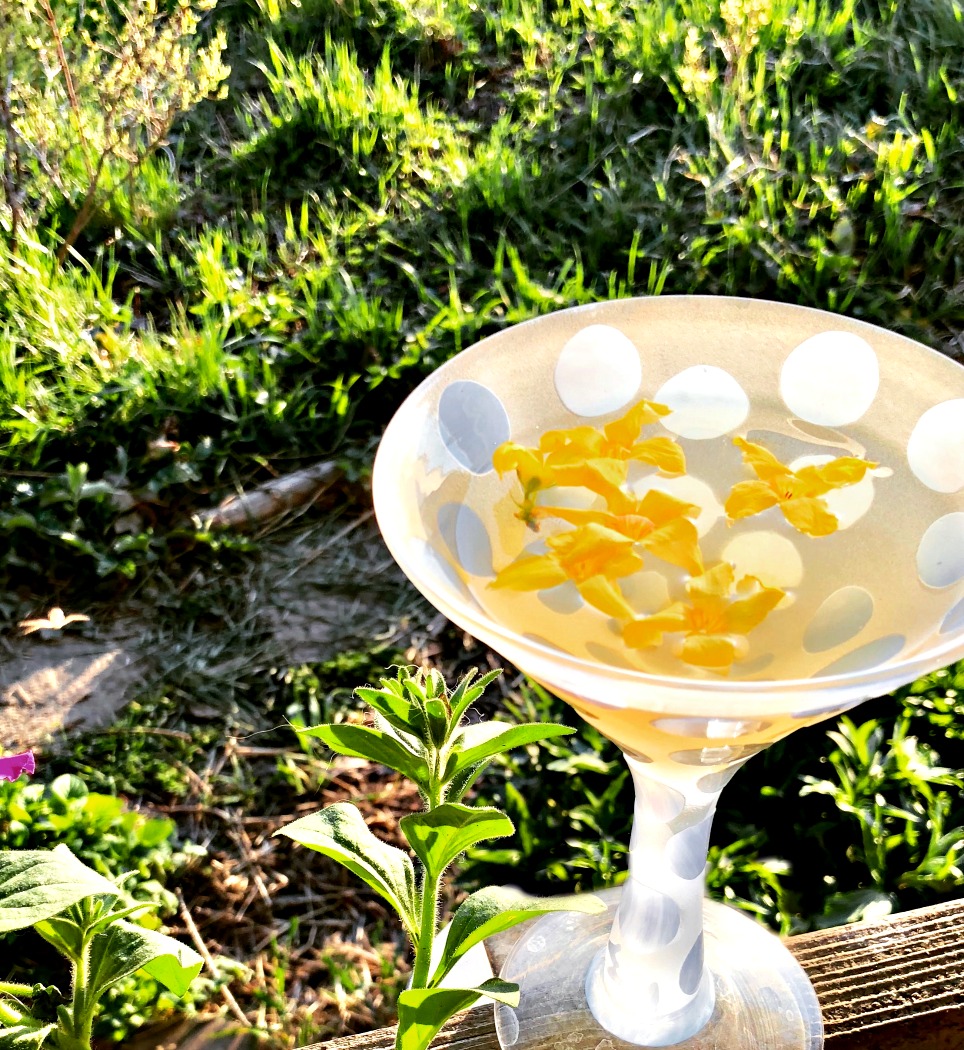 How to Make Forsythia Syrup: An Herbal Recipe for Cooking, Cocktails ...