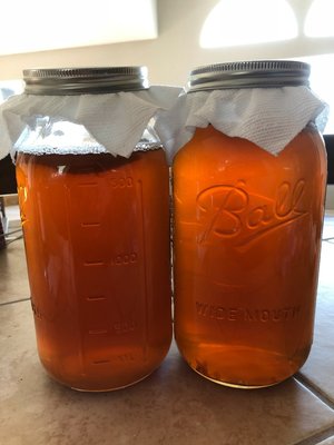 How to Make Kombucha Fizzy (the Second Ferment): Plus a Kombucha Recipe ...