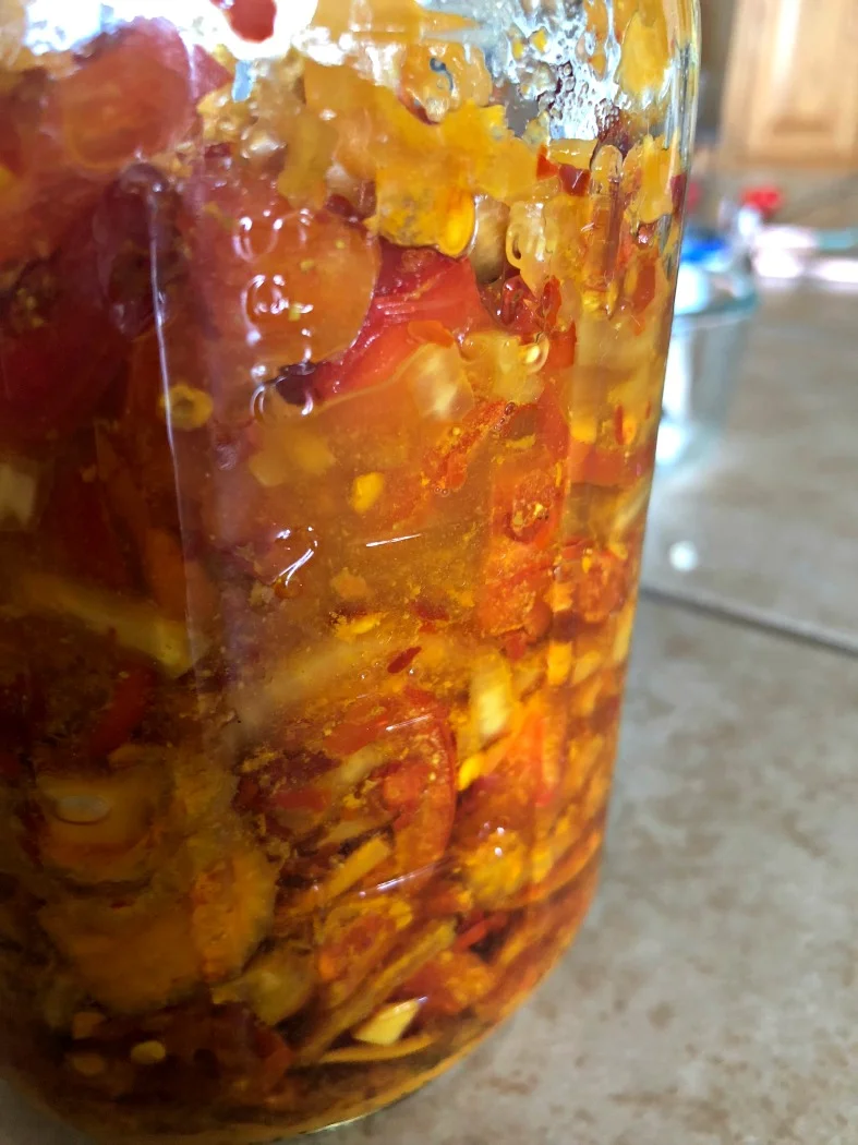 How to Make a Fermented Onion Relish (Perfect for Salads, Sandwiches ...
