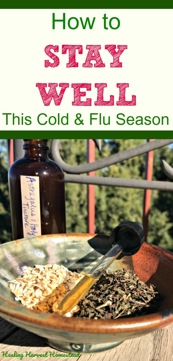 How to Keep a Cold and Flu Away: Things to Do Before You're Sick to ...