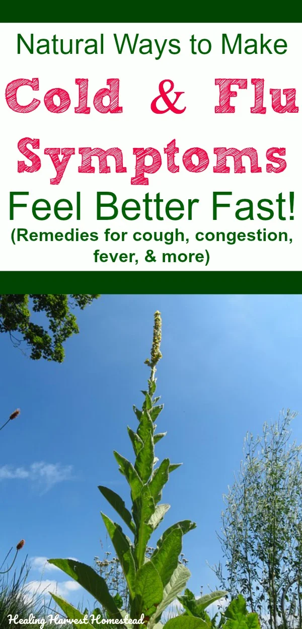 12 Home Remedies to Make You Feel Better from Cold and Flu and Other ...