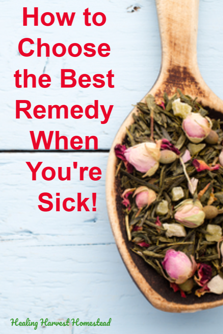 How to Start Using Herbs Part 3 (Make Your Own Remedies at Home ...