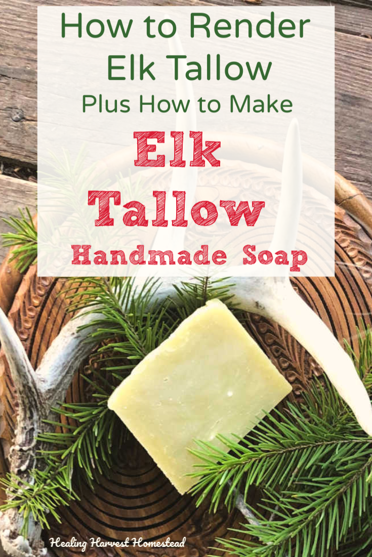 How to Render Elk Fat and Make Homemade Tallow Soap — All Posts Healing ...