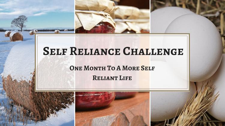 A Look Back at 2018, Our Self-Reliant Goals for 2019, and a Self ...