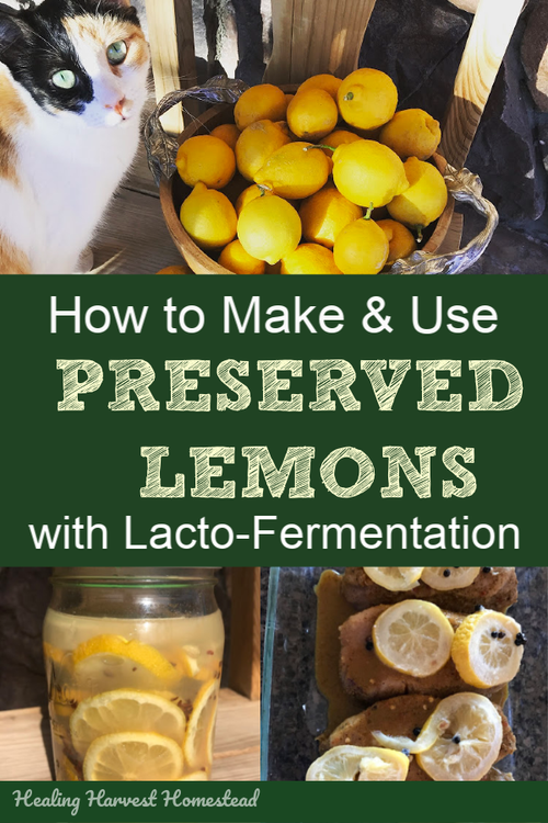 How to Ferment Lemons in 9 Easy Steps and Two Recipes — All Posts ...